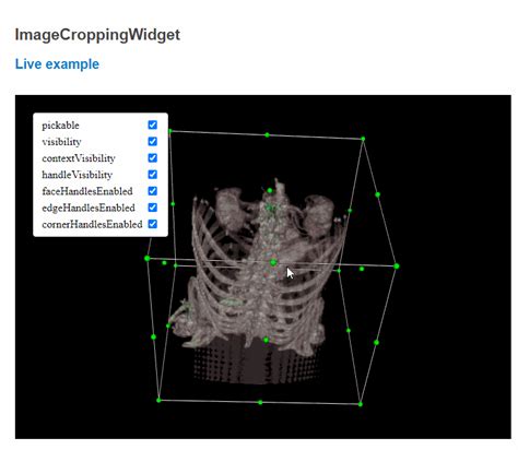 imagecroppingwidget not working properly · issue 1594 · kitware vtk js