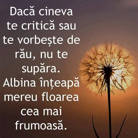 Mesaje Frumoase De Incurajare Pagina 7 Mesajefrumoase