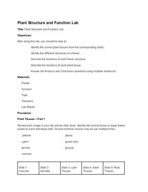 Copy Of Plant Structure And Function Lab Plant Structure And Function