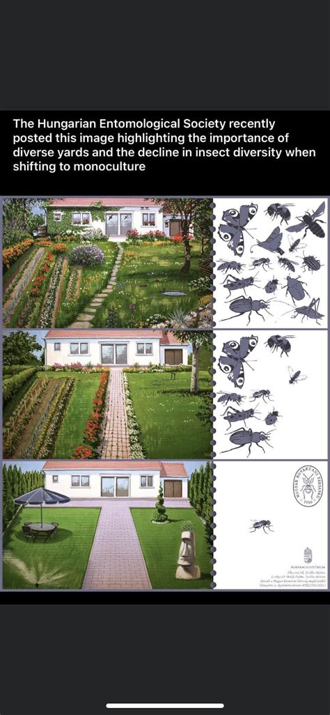 🐝🐛🐜 Platt Hill Nursery