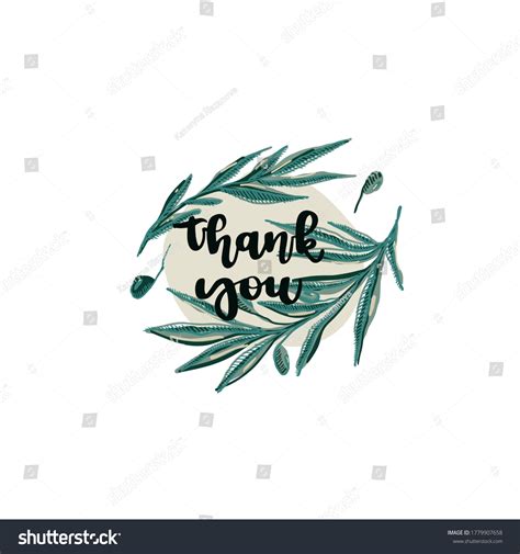 Thank You Vector Label Olive Branches Stock Vector Royalty Free