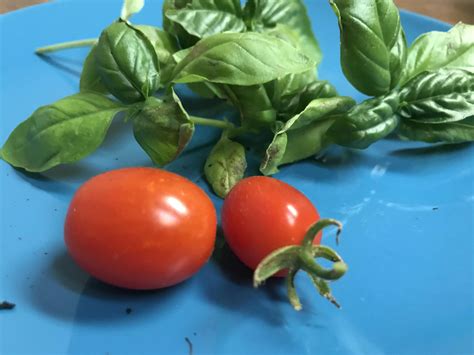 After A Failed Attempt Last Year My First Of The Year Plenty More On The Way Scrolller