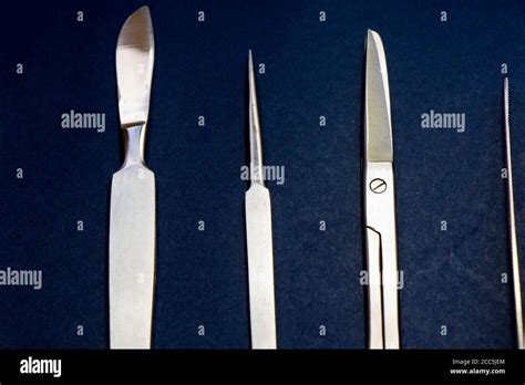 Dissection Scalpel
