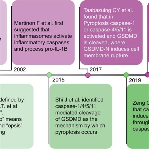 Timeline Depicting The Important Historical Events In Pyroptosis Download Scientific Diagram