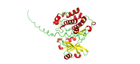 Protein Structure Modeling Profacgen