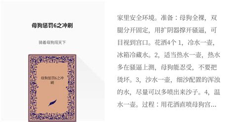 32 母狗惩罚6之冲刷 惩罚任务系列 骑着母狗闯天下の小説シリーズ Pixiv