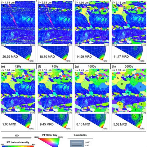 Ex Situ Ebsd Ipf Maps And Corresponding Ipfs Ed Of Mc10 Annealed For Download Scientific
