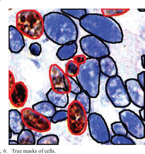 Figure 6 From Oriented Cascade Mask R CNN For Biomedical Image
