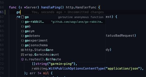 X Tools Gopls Inaccurate Functionality For Import With Package Name