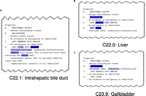 Toward Structuring Real World Data Deep Learning For Extracting Oncology Information From