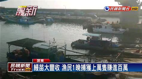 黑潮影響鰻苗大爆發 漁民一晚賺百萬－民視新聞 Youtube