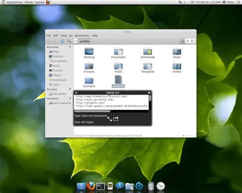 How To Make An Ubuntu 1010 Desktop Resemble A Mac With Elementary Docky And Gloobus Preview