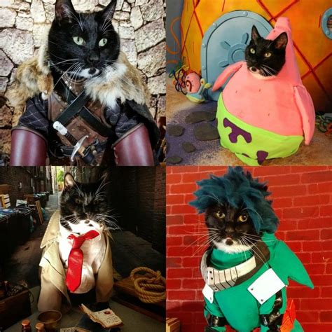 Cosplay Kitty Cat Cosplay Cats Cute Animal Drawings