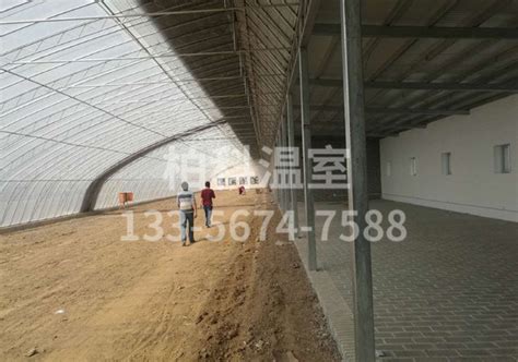 山东柏科阿姆农业科技开发有限公司连栋薄膜大棚智能温室蔬菜大棚玻璃温室建设日光花卉温室大棚设计施工厂家