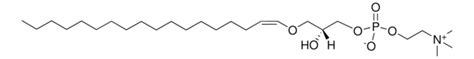 Avanti Research ™ A Croda Brand Sigma Aldrich