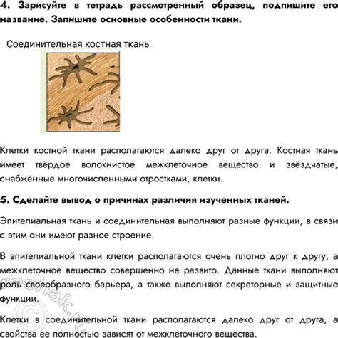 (Решено)Параграф 5 ГДЗ Сивоглазов Каменский 8 класс по биологии