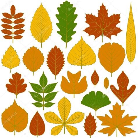 Hojas De Arbol Para Imprimir Imagenes Y Dibujos Para Imprimir Porn Sex Picture