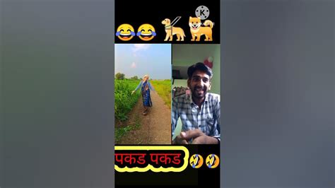 😂😂खेत मे कुत्ता पीछे लगा😂😂 Viral Shortvideo Comedy Funnyvideo