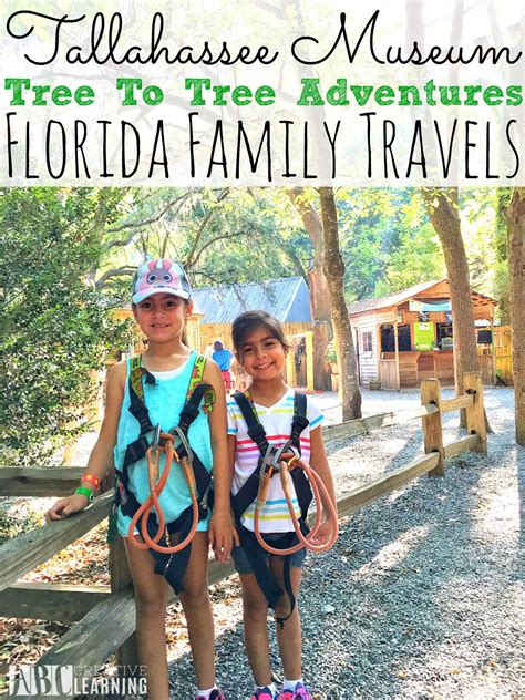 Tallahassee Museum Tree To Tree Adventures