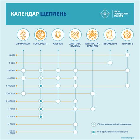 Новини Календар щеплень Через скільки робити повторно