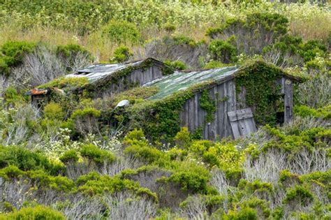 Geography Realm On Linkedin Gis And Rewilding Efforts