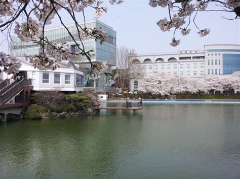 캠퍼스 풍경3 원광대학교 영어교육과