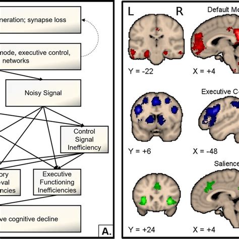 Proposed Functional Model Of Subjective Cognitive Decline A Incipient Download Scientific