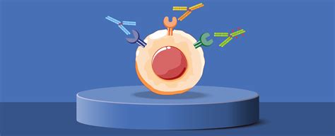 Biocentury Tumor Cell Surface Targets Off The Beaten Path