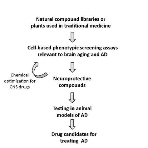 Schematic Of Screening Workflow Download Scientific Diagram