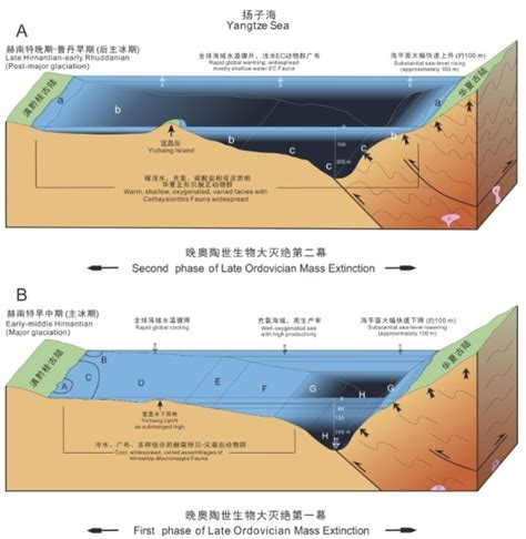 研究揭示晚奥陶世生物大灭绝后第一个腕足动物群及其演化意义的新启示 中国科学院