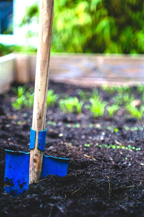 Raised Bed Gardening With Linda L Tagawa Gardens