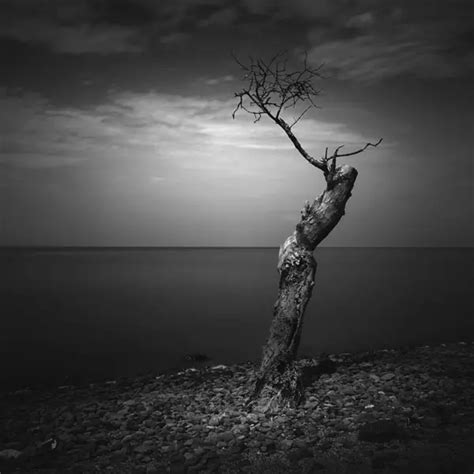Photography Print Pricing Guide Path To Profitable Sales Photodoto