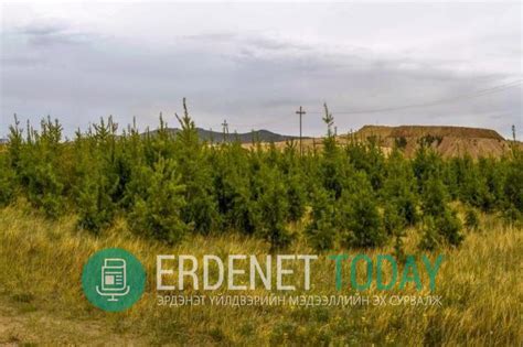 Эрдэнэт үйлдвэр байгаль орчныг нөхөн сэргээж дүйцүүлэн хамгаалдаг ТАС МН