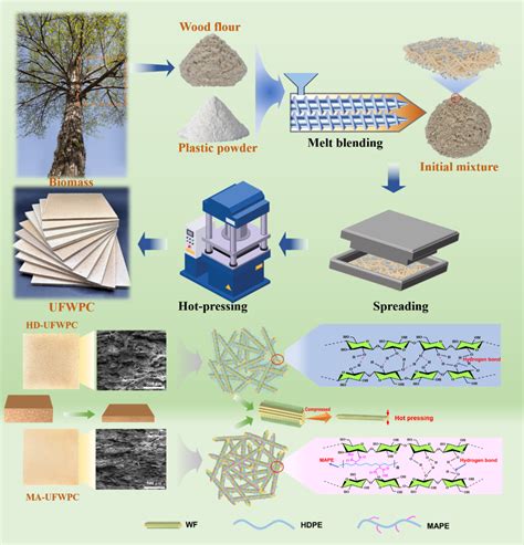 东北林大宋永明教授团队Composites Part B 可规模化生产的高强耐蠕变超高填充木塑复合材料 东北林业大学木材科学与工程专业