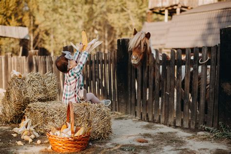 무료 사진 현장 예쁜 소녀 말 건초 헛간 소녀 마 시골 사람들 빨 대