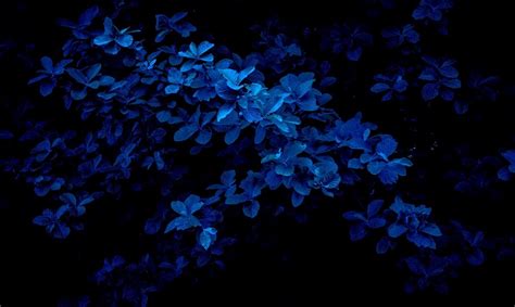 Secrets Of Blue PowerPoint Templates