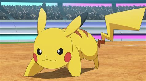 Ashs Pikachu Bulbapedia The Community Driven Pokémon Encyclopedia