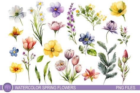 Watercolor Spring Flowers Clipart Kit Graphic By Svgoriginalcreations
