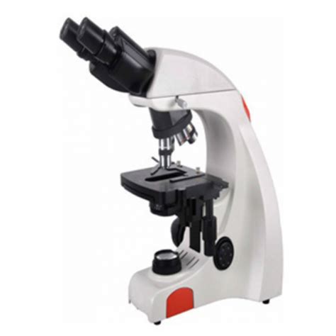 Buy Binocular Biological Microscope Get Price For Lab Equipment