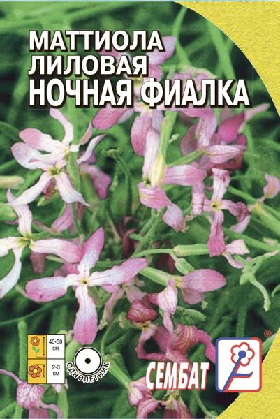 Маттиолы Сембат Маттиола - купить по выгодным ценам в интернет-магазине ...