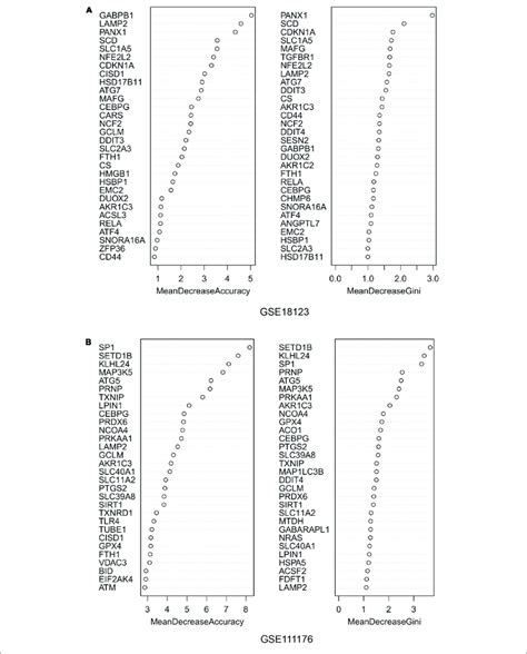 random forest analysis a accuracy value and gini value of