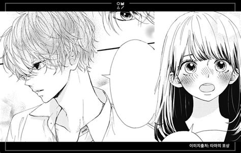 일본 순정만화 추천 신간 들이네 네이버 블로그