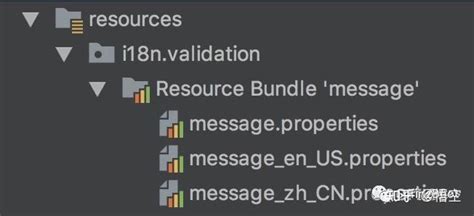 SpringBoot 使用validation数据校验之国际化问题怎么搞满满的干货值得收藏 第411篇 知乎