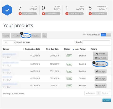 managing dns records
