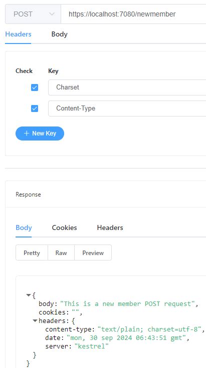 overview of minimal api