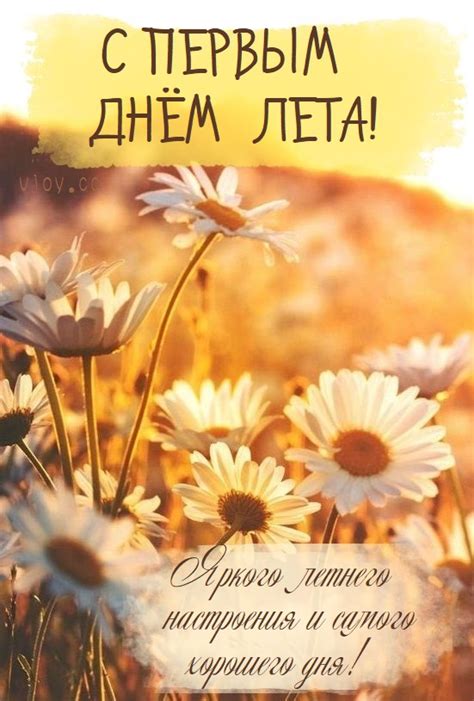 С первым днем лета картинки прикольные гиф
