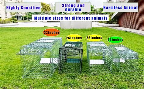 Amazon.com : Large Collapsible Humane Live Animal Cage Trap No-Kill Trapping Kit for Humane ...