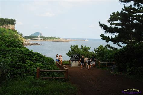 아는 사람만 찾아가는 제주도 천연수영장 황우지 여행지 여행 가이드 여행