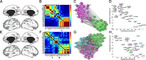 Competitive And Cooperative Dynamics Of Large Scale Brain Functional
