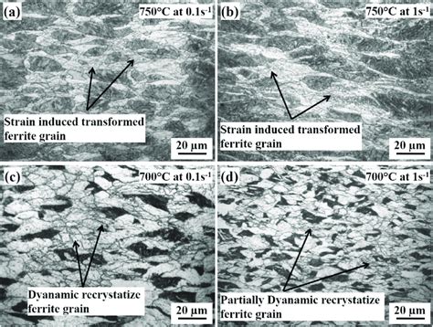 Optical Microstructure Of Single Phase Control Deformed Microalloyed Download Scientific